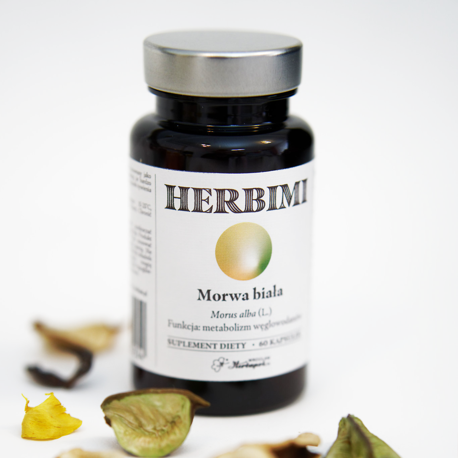 Morwa biała - HERBIMI